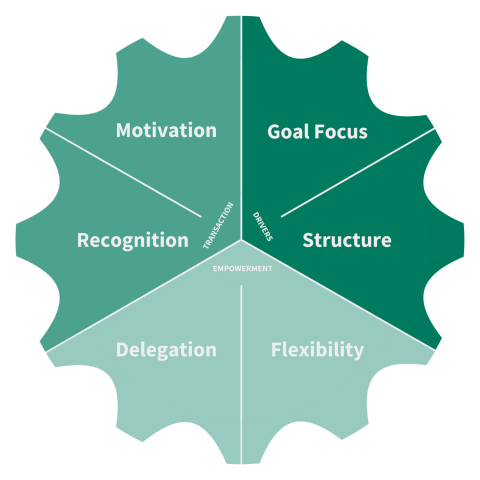The Integrated Leadership Model and the ILM72 - A Fresh Insight - AQR ...