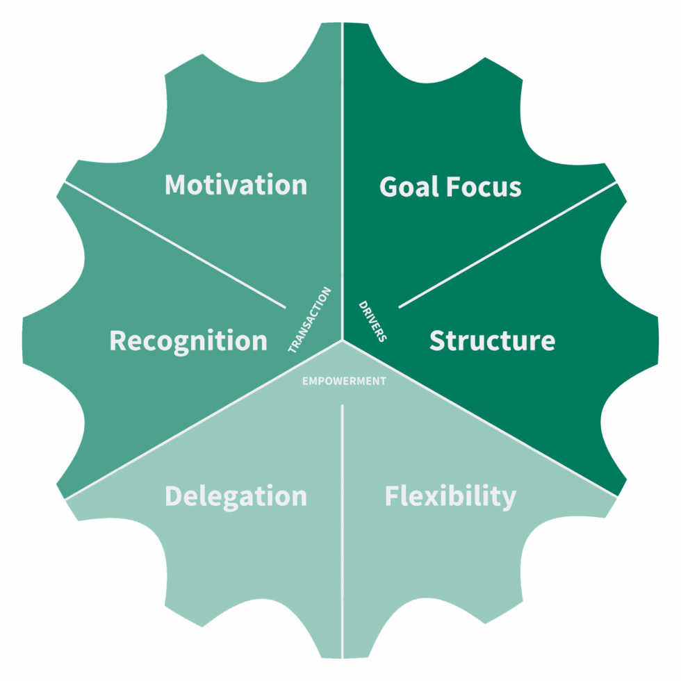 The Integrated Leadership Model and the ILM72 - A Fresh Insight - AQR ...