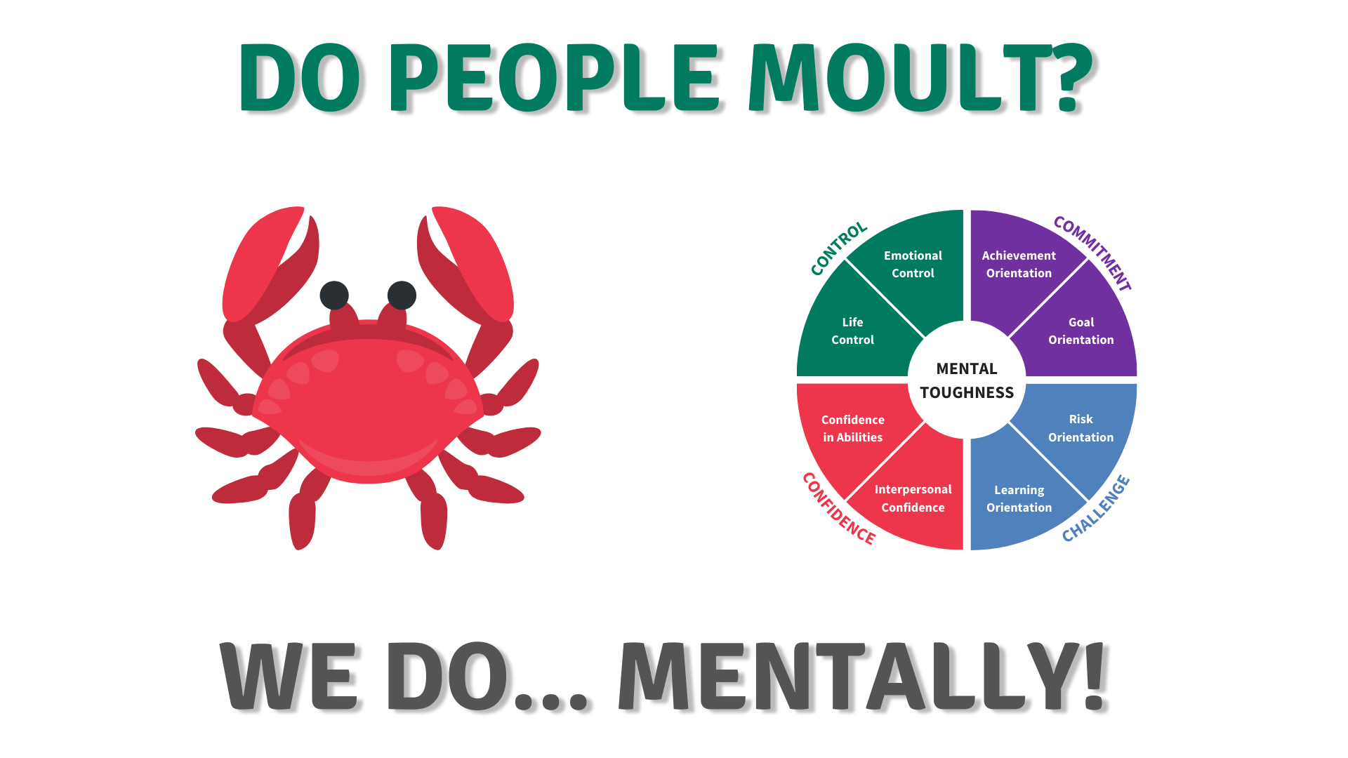 Do People Moult? We do... Mentally! - AQR International