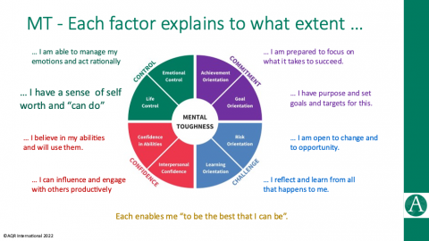 Eight Factors - Achievement Orientation - AQR International