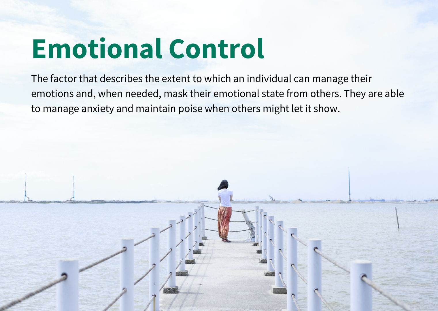 Eight Factors - Emotional Control - AQR International
