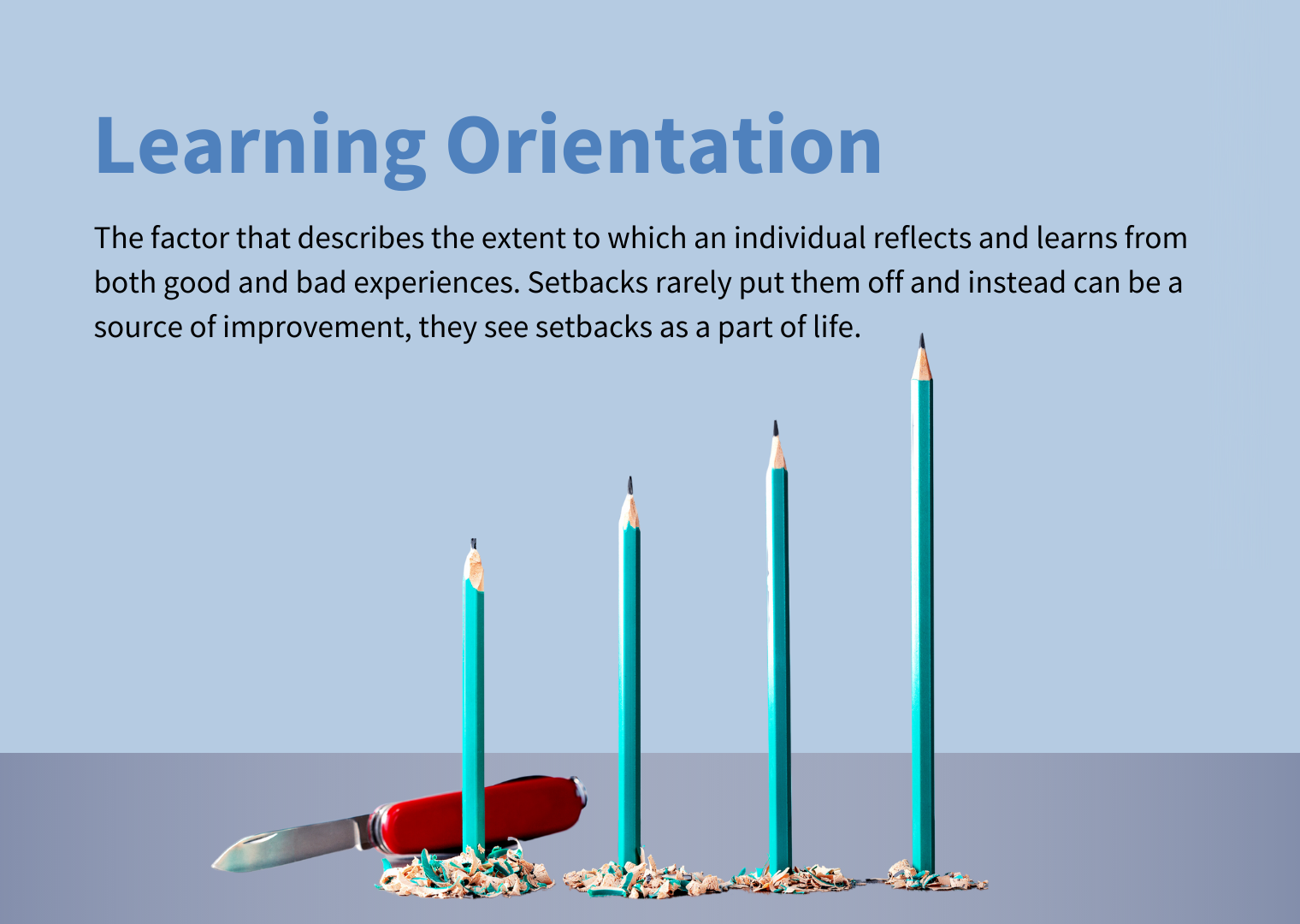 Eight Factors - Learning Orientation - AQR International